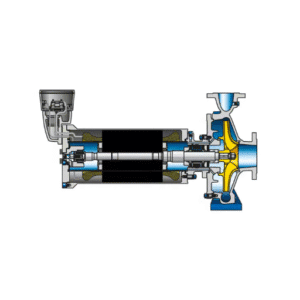 Canned Motor Pump: The Ultimate Guide to Efficient Sealless Pumping ...